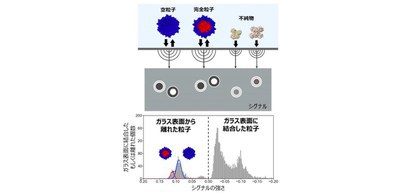 Mass Photometry Revolutionizes Gene Therapy Production | Mirage News